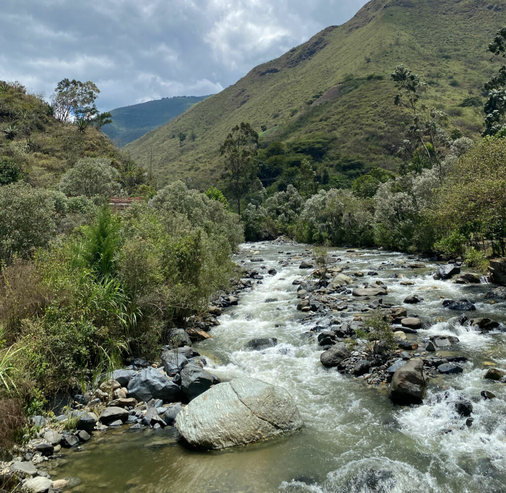 Una apuesta por el fortalecimiento del turismo de naturaleza en el ...